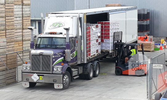 Cherry Orchard & Packhouse Jobs | New Zealand Cherry Corp